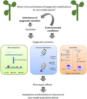 adaptation and inheritance