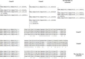 heuristic alignment algorithm