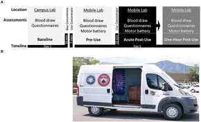 high on weed simulation