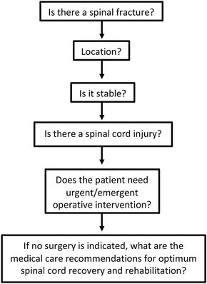 spinal cord compression ppt