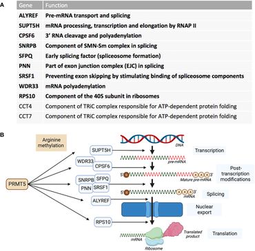 mta process components