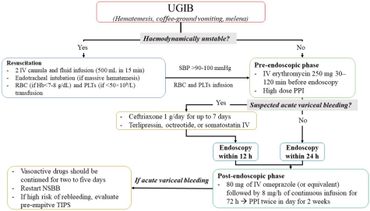 upper gi bleed guidelines