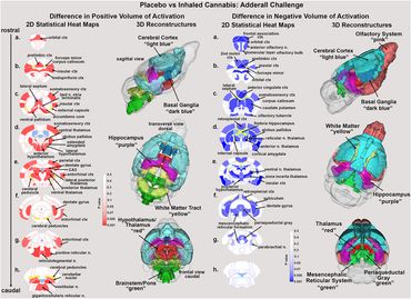 aleve adderall interaction
