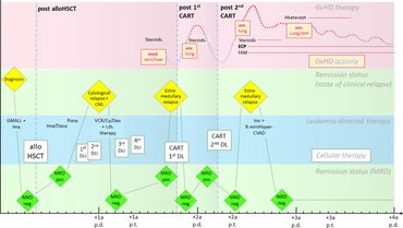 dau life cycle chart