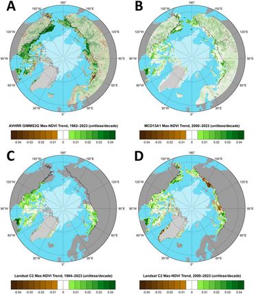 arctic tundra case study