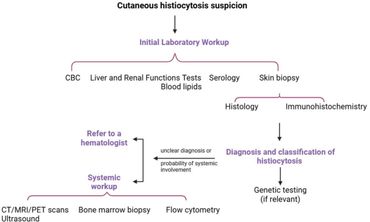 histiocytes function