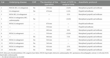 cat anesthesia protocol
