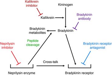 bradykinin sequence
