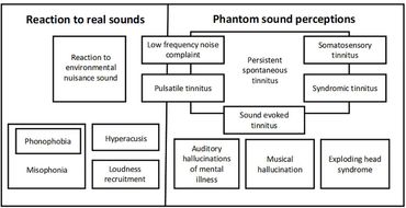 exploding head syndrome tinnitus