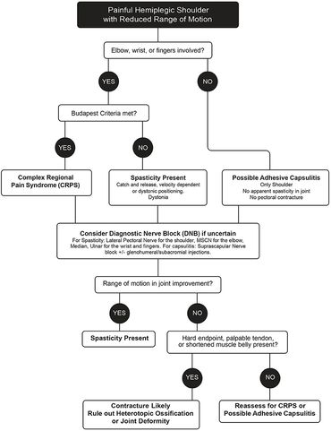 shoulder diagnosis flowchart