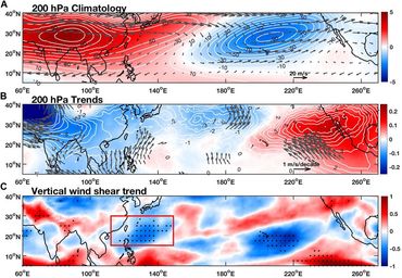 Effects Of Cyclones On The Environment