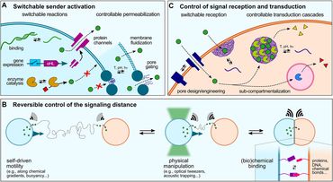 chemical communication examples
