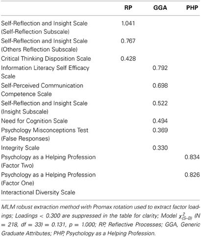 self reflection and insight scale