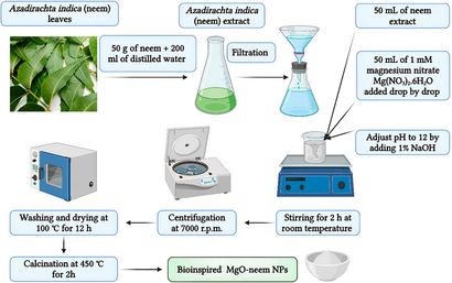 neem leaf extraction methods