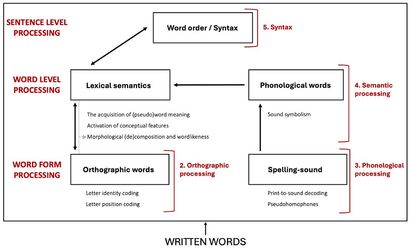 understanding word processing