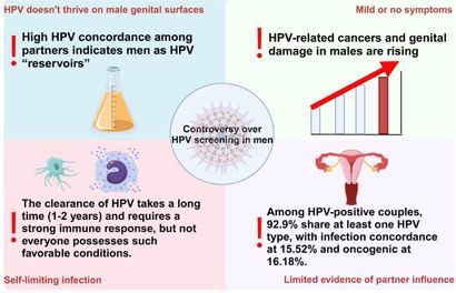 mild hpv men
