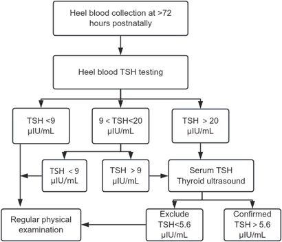 thyroid function test flow chart
