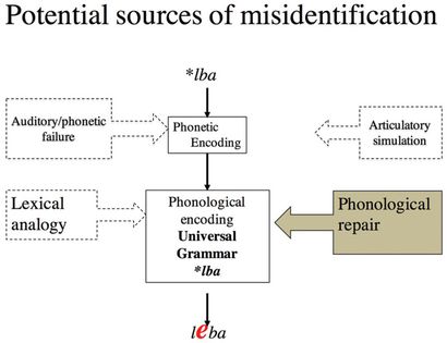 auditory phonetics