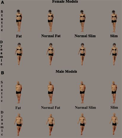 body composition examples female