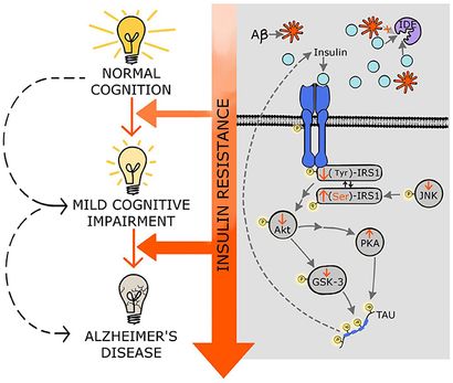 insulin subcoma therapy