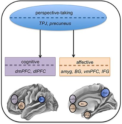 cognitive perspective taking