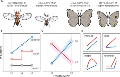 variation in animals examples