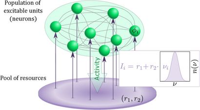 excitable medium simulation