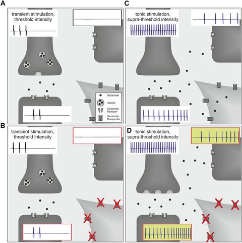 nociceptive flexion reflex threshold