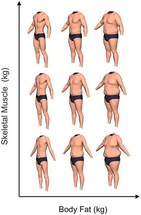body composition examples men