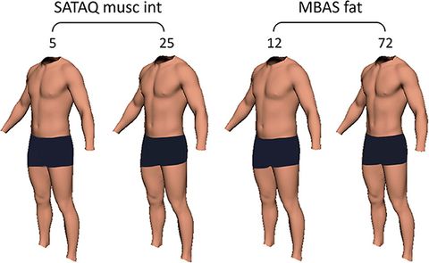 body composition examples men