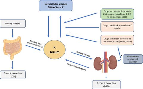 hyperkalemia gloucester