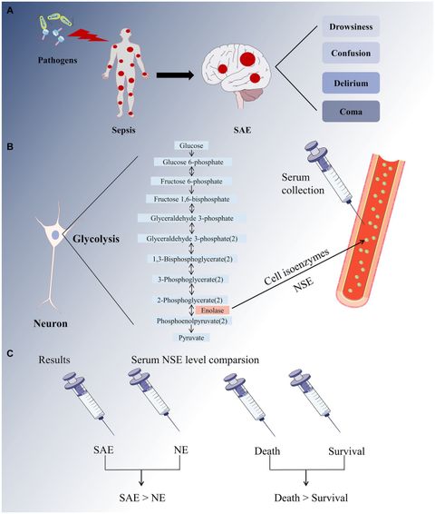 neuron specific enolase interpretation