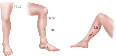 acupuncture points inside leg