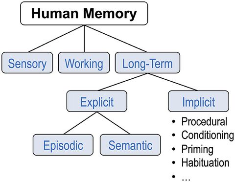 procedural memory system