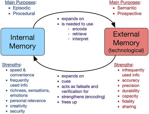 human memory tree diagram