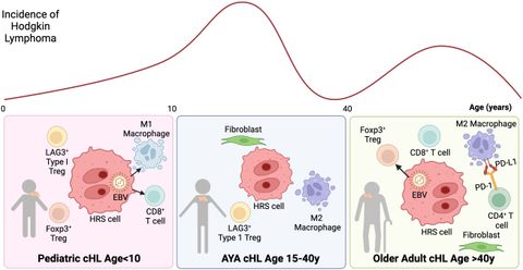 micro lymphoma