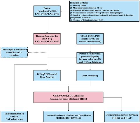 thyroid microcarcinoma guidelines