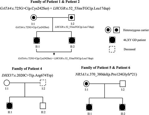 gonadal dysgenesis examples