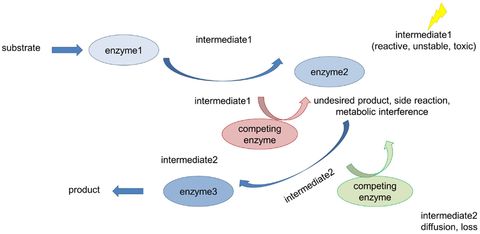 synthetic pathways
