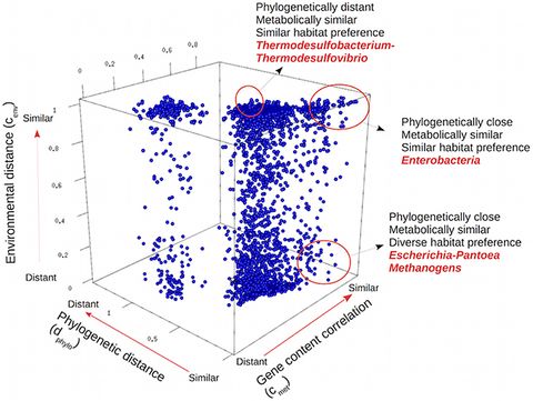 phylogenetically
