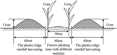 furrow diagram