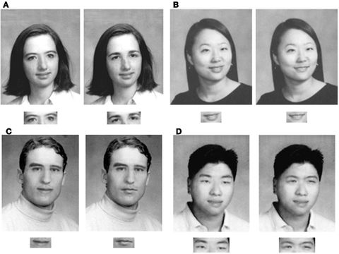 difference between asian faces