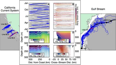 leeuwin current diagram