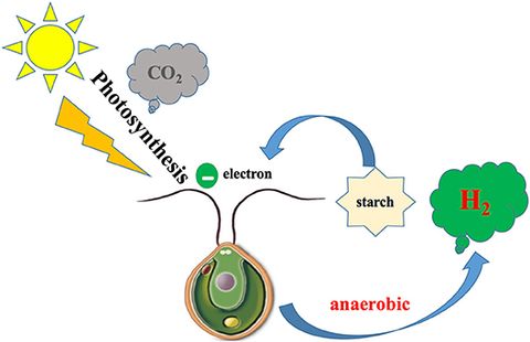 hydrogen cycle explanation