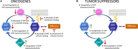 arfimetic progress