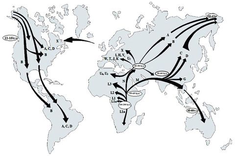 migratory path markers