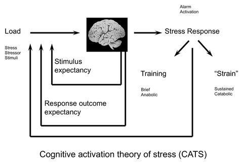 catastrophizing theory