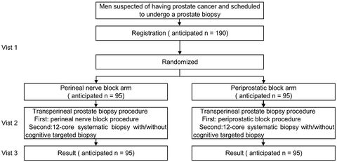 prostate biopsy guidelines
