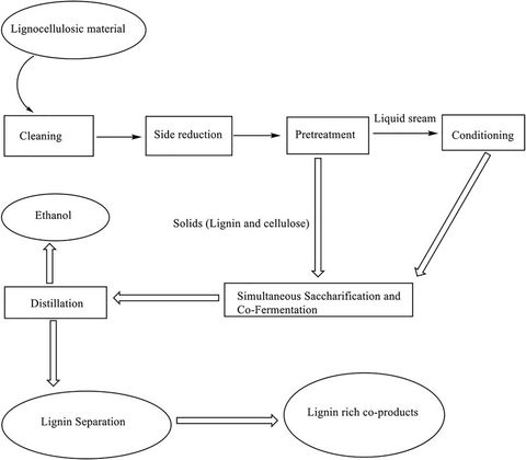 lignocellulosic waste examples