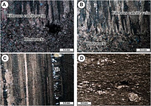 calcite vein thin section
